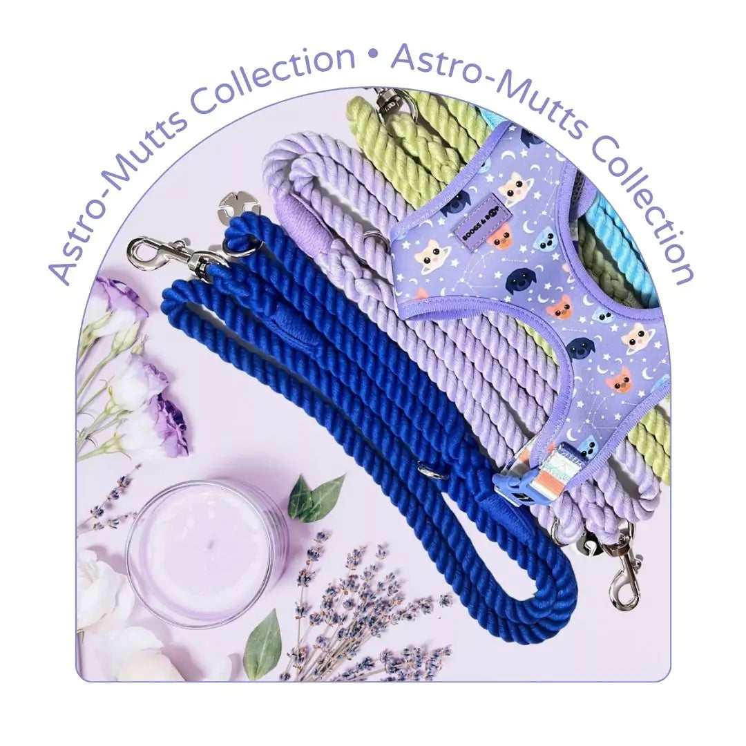 Astro-Mutts Dog Accessories Collection | Boogs & Boop