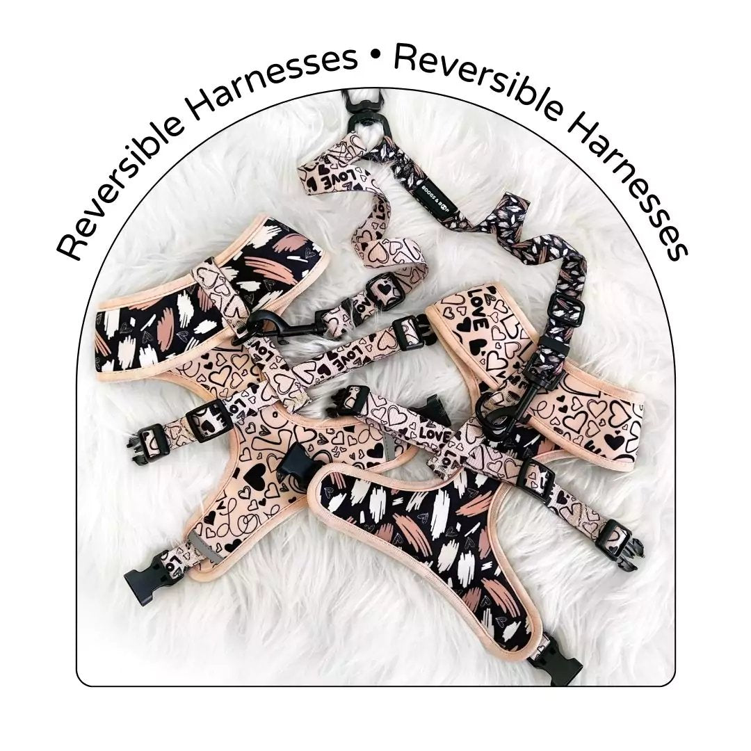Reversible Harnesses for Dogs | Boogs & Boop