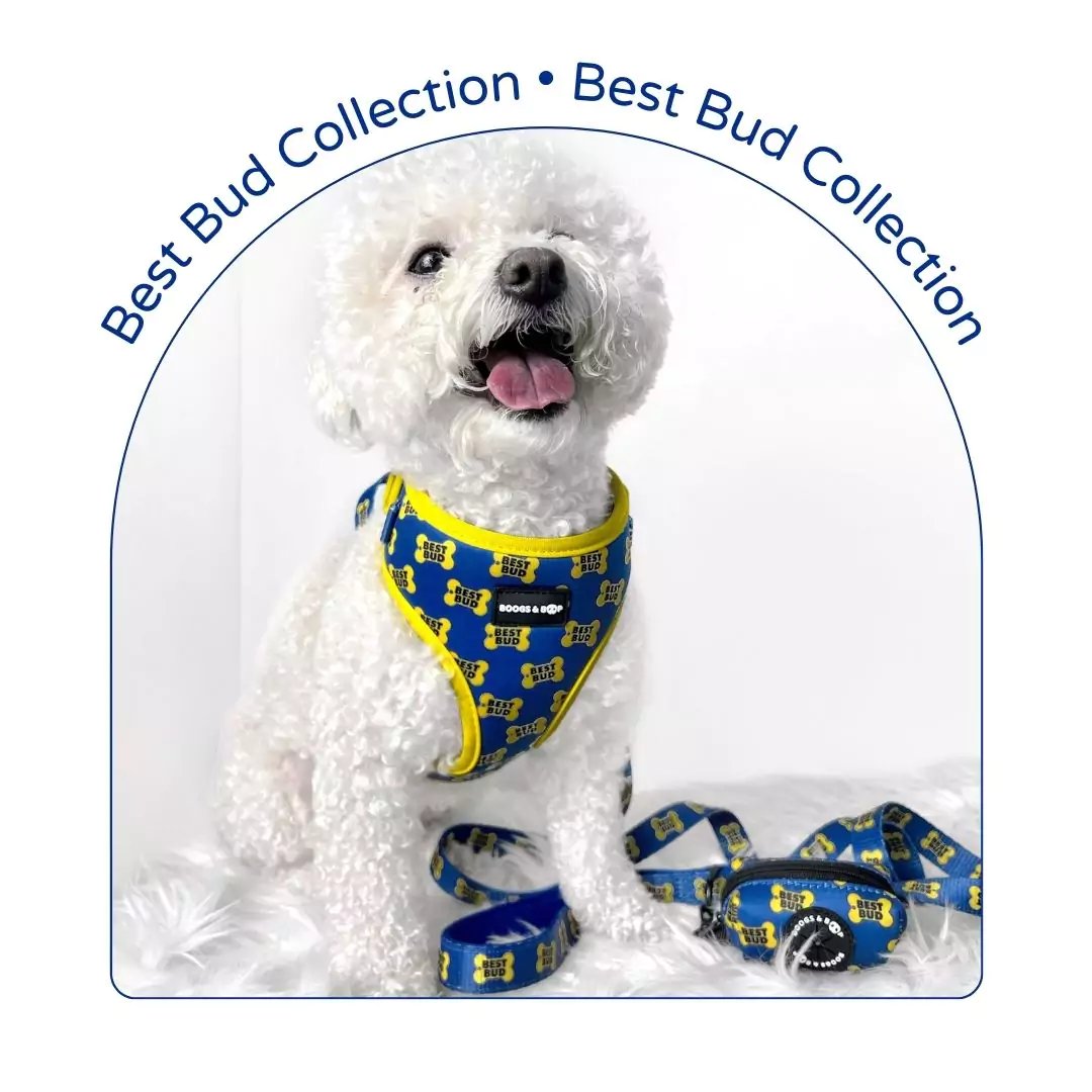 Best Bud Dog Accessories Collection | Boogs & Boop