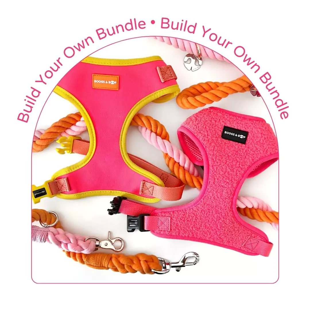 Build Your Own Dog Accessories Bundle | Boogs & Boop