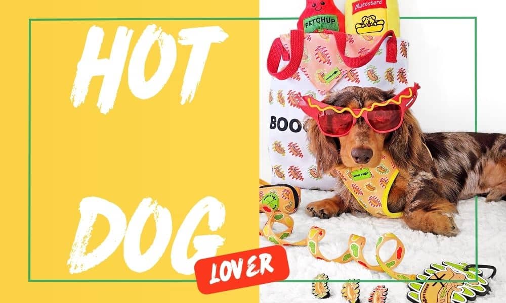 Boogs & Boop | Dog Accessories & Toys