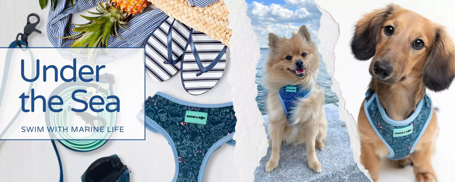 Boogs & Boop | Dog Accessories & Toys